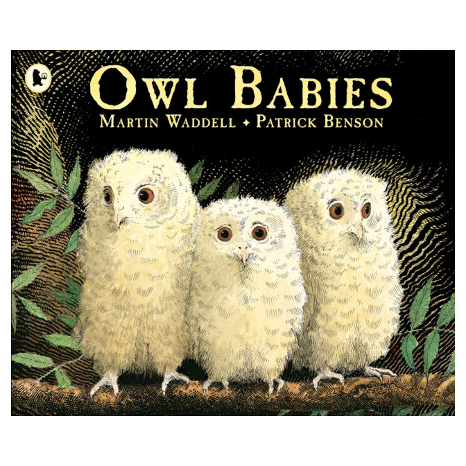 Owl Babies | Rockaway Toys | Books | Martin Waddell