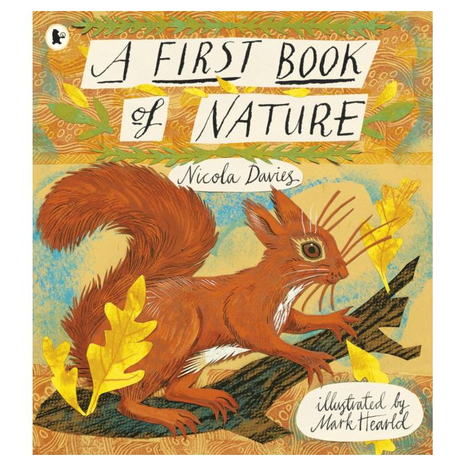A First Book of Nature | Rockaway Toys | Books | Nicola Davies